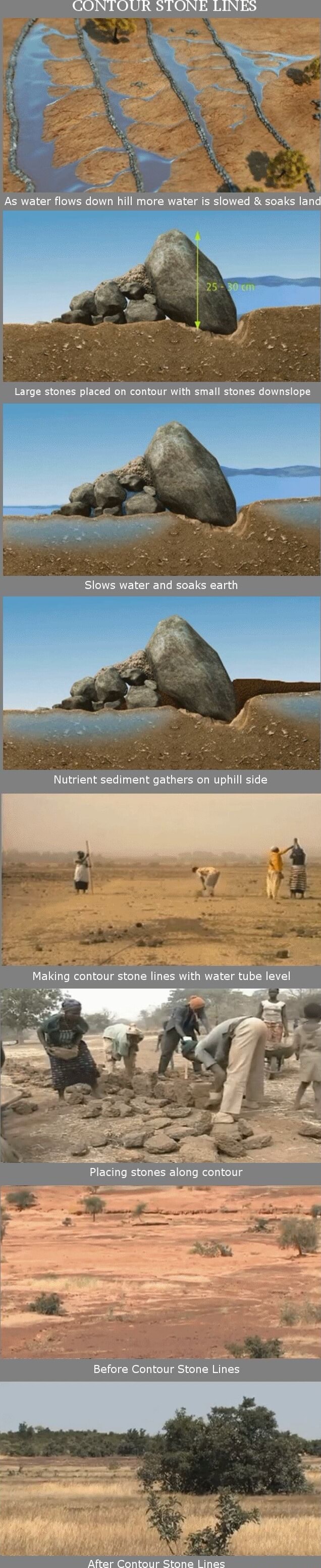 CONTOUR STONE LINES As water flows down hill more water is slowed ...