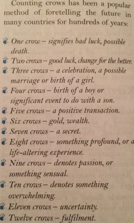 Counting crows has been a popular method of foretelling the future in ...