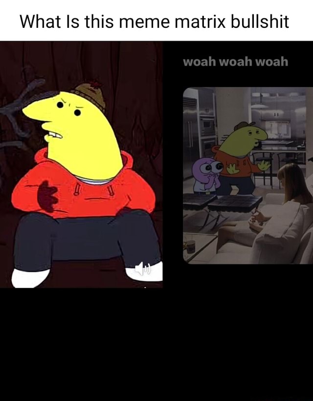 What Is this meme matrix bullshit woah woah - iFunny