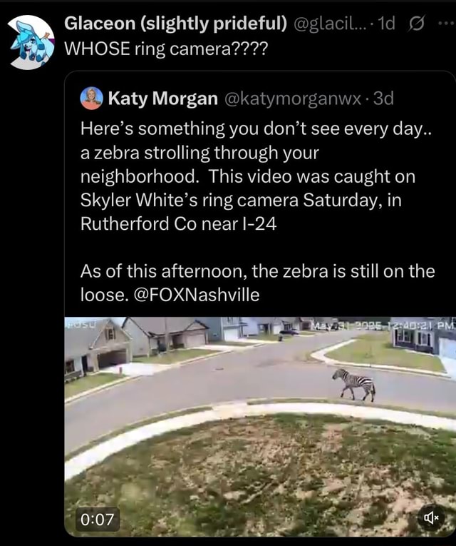 Glaceon (slightly prideful) @glacil....id WHOSE ring camera???? Katy ...