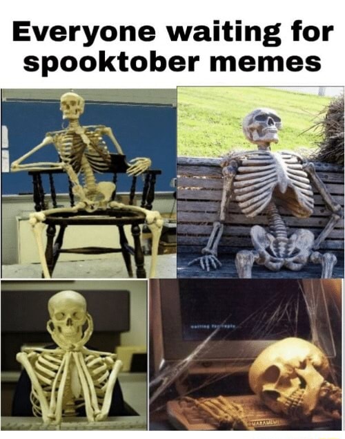 Everyone waiting for memes - iFunny
