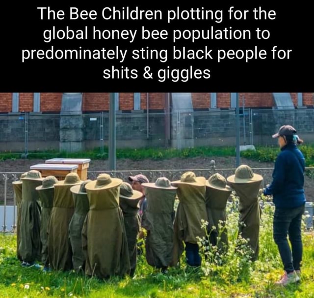 The Bee Children plotting for the global honey bee population to ...