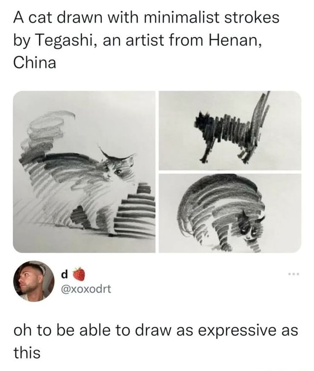 A cat drawn with minimalist strokes by Tegashi, an artist from Henan ...