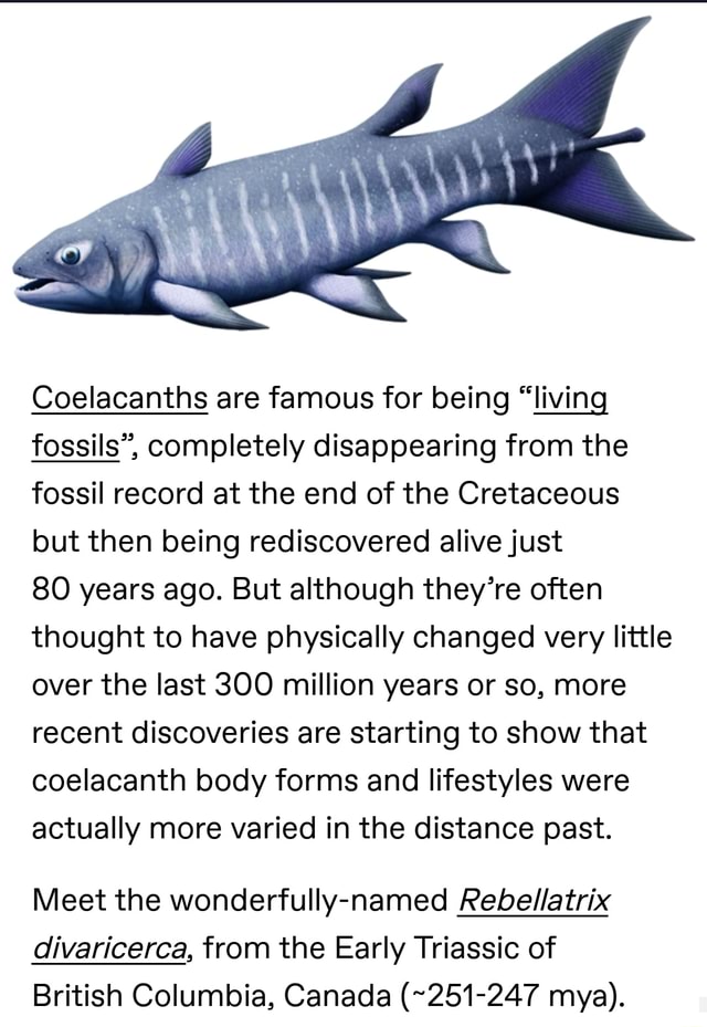 Coelacanths are famous for being “ iving fossils”, completely ...