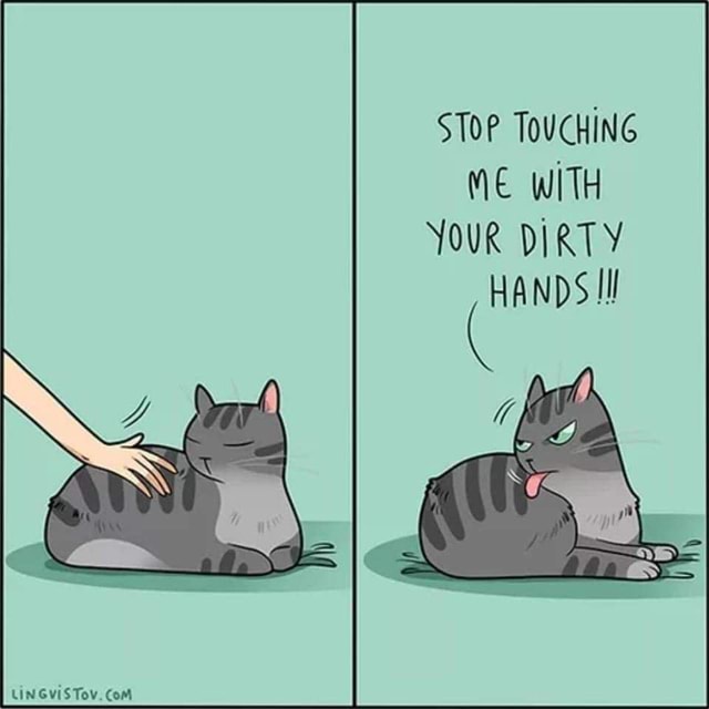 STOP TOUCHING Me wiTH YOUR DIRTY HANDS II - iFunny
