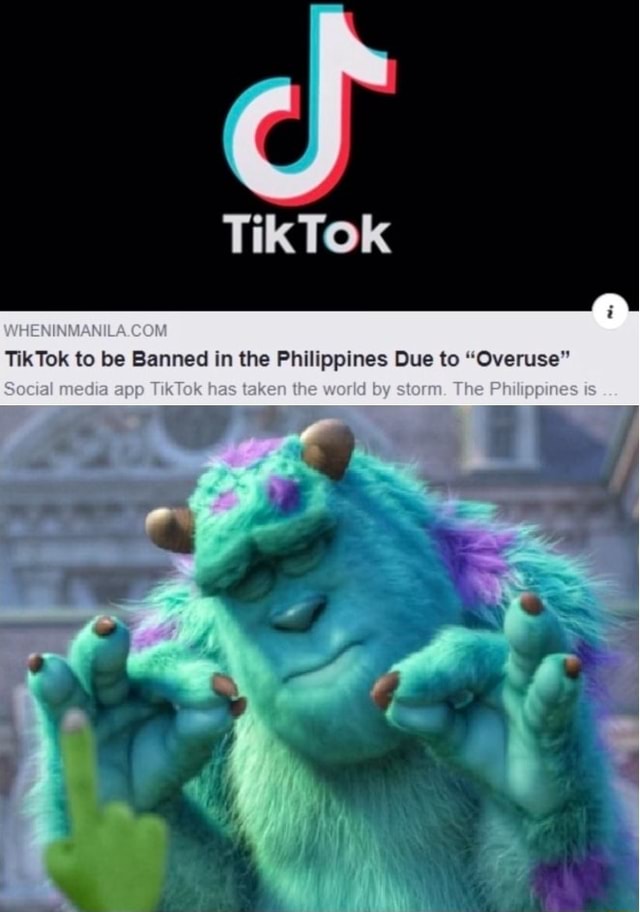 Tik Tok to be Banned in the Philippines Due to "Overuse" - iFunny