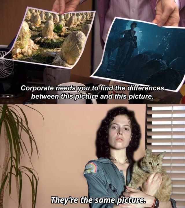 #meme #alien #aliens #ripley #jonesy - Corporate needs you to find the ...