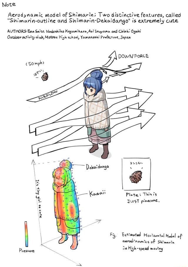 Note Aerodynamic model of Shimarin; Two distinctive features, called ...