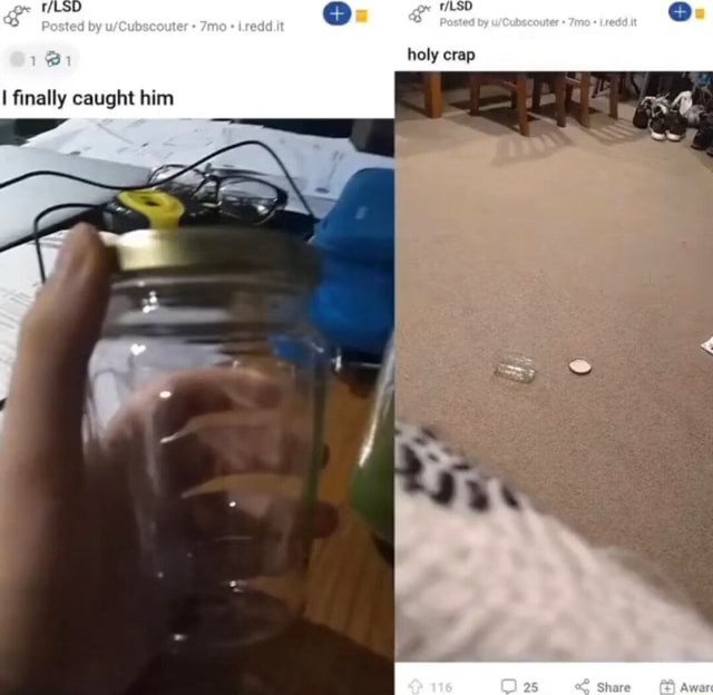 LSD holy crap I Posted by I finally caught him - iFunny