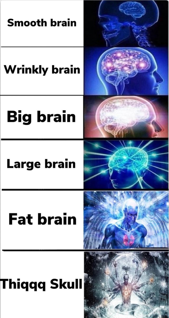 Smooth brain Wrinkly brain Big brain Large brain Fat brain Thiqqgq ...