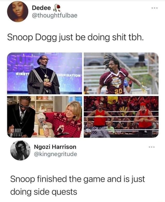 Snoop Dogg just be doing shit tbh. Ngozi Harrison @kingnegritude Snoop finished the game and is ...