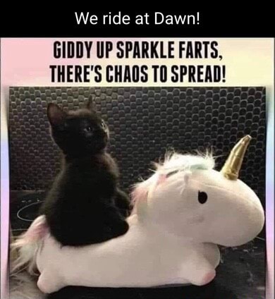 We ride at Dawn! GIDDY UP SPARKLE FARTS, THERE'S CHAOS - iFunny