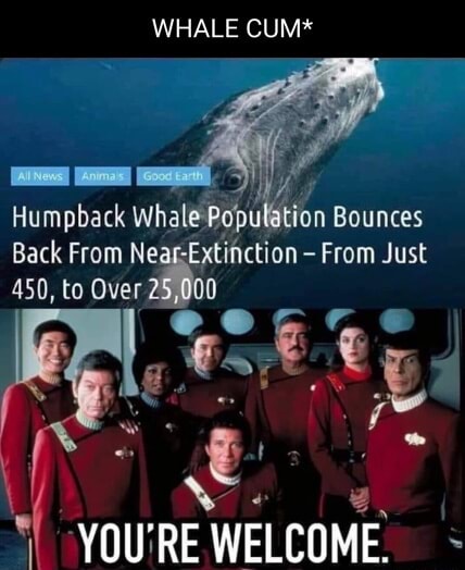 WHALE CUM* Humpback Whale Population Bounces Back From Ne Extinction ...