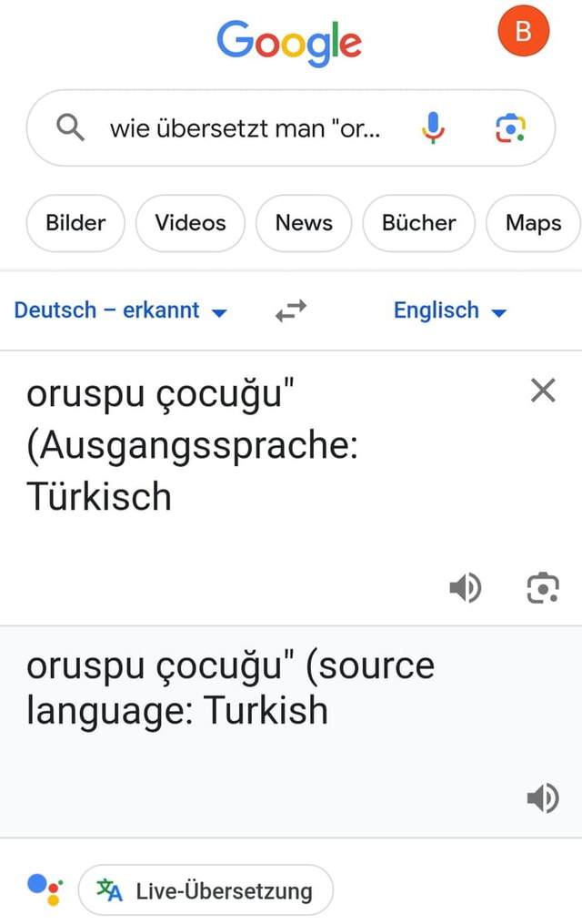Google Translate Trkisch Deutsch