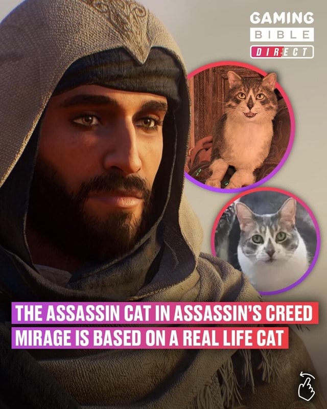 Did you know this about the cat in Assassins Creed Mirage Swipe for The ...