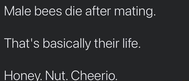 Male bees die after mating. That's basically their life. Honev. Nut ...