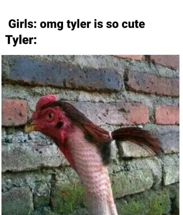 Girls: omg tyler is so cute Tyler: - iFunny