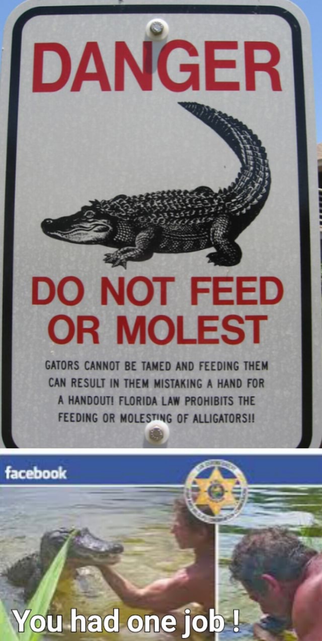 DANGER DO NOT FEED OR MOLEST GATORS CANNOT BE TAMED AND FEEDING THEM ...