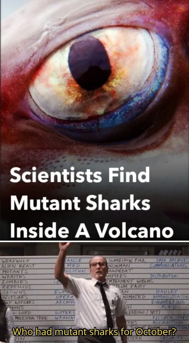 Scientists Find Mutant Sharks Inside A Volcano