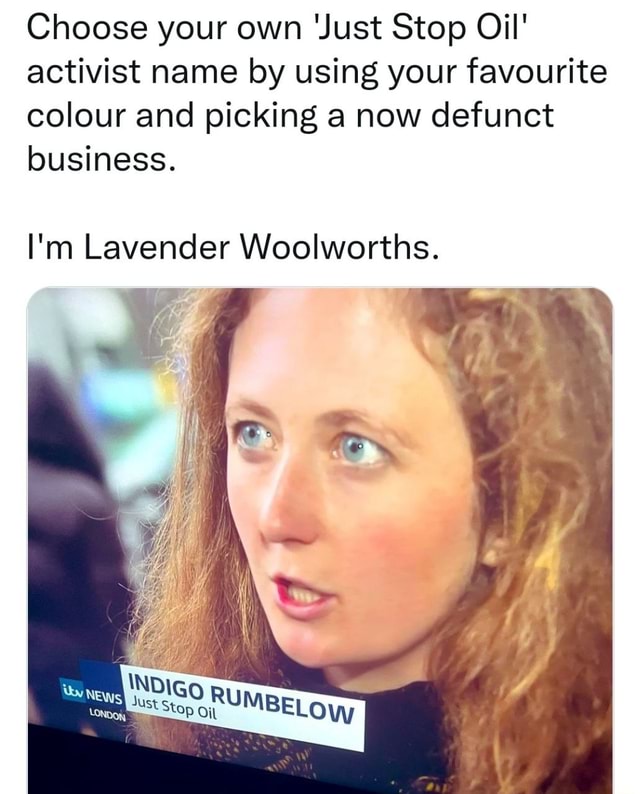 Choose your own Just Stop Oil' activist name by using your favourite ...