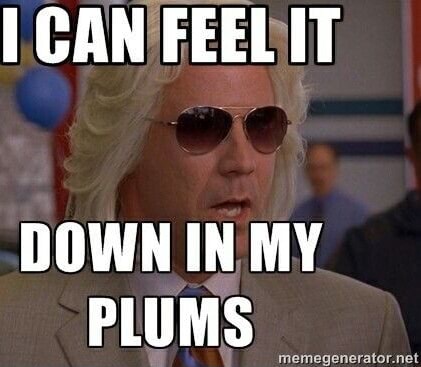 CAN FEEL IT DOWN IN MY PLUMS memegenerator.net - America’s best pics ...