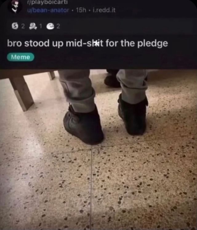 Playooicart bro stood up mid-skkt for the pledge 'Meme - iFunny