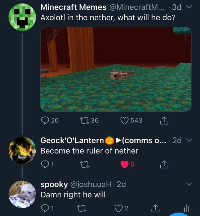 Minecraft Memes Axolotl in the nether, what will he do? 20 543 Geock'O ...