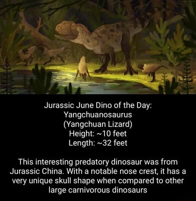 Jurassic June Dino of the Day: Yangchuanosaurus (Yangchuan Lizard ...