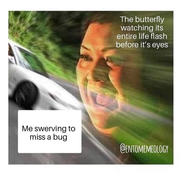 My face: 😫 Their face: 😵‍💫 #entomemeology #entomology #entomologymemes ...
