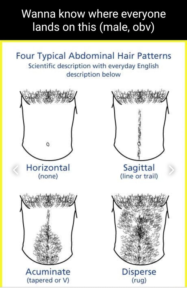 Wanna know where everyone lands on this (male, obv) Four Typical ...