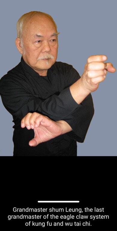 Grandmaster shum Leung, the last grandmaster of the eagle claw system ...