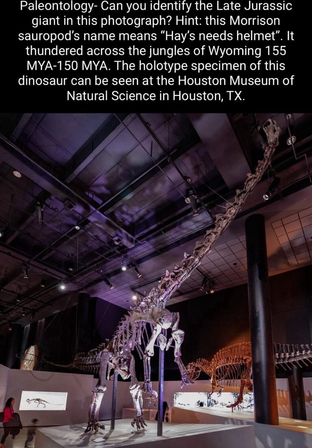 Paleontology- Can you identify the Late Jurassic giant in this ...