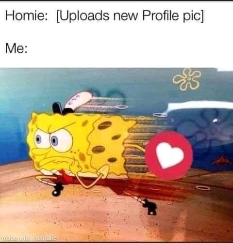 Looking for the best icon - Homie: [Uploads new Profile pic] - iFunny