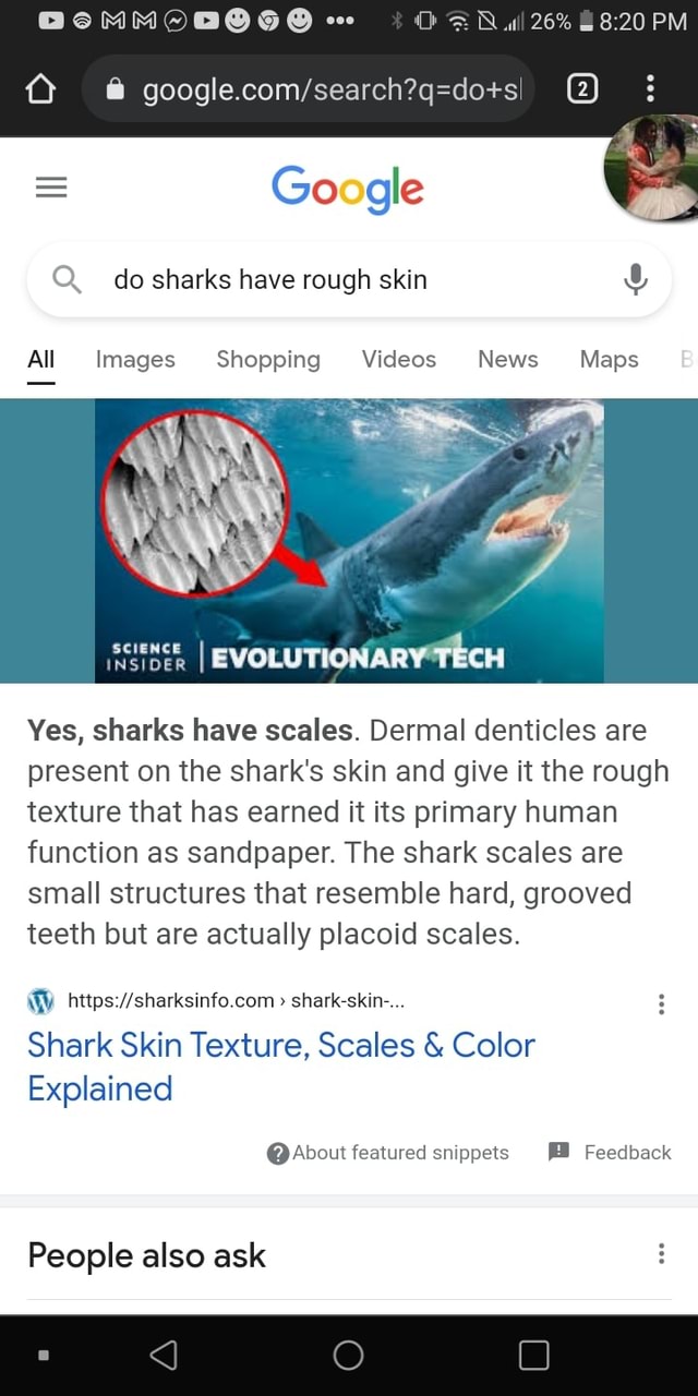 26% & : = Google Q. do sharks have rough skin All Images Shopping ...