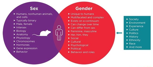 Sex Humans, nonhuman animals, and cells Typically binary Male, female ...