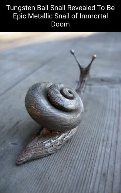 Tungsten Ball Snail Revealed To Be Epic Metallic Snail of Immortal Doom ...