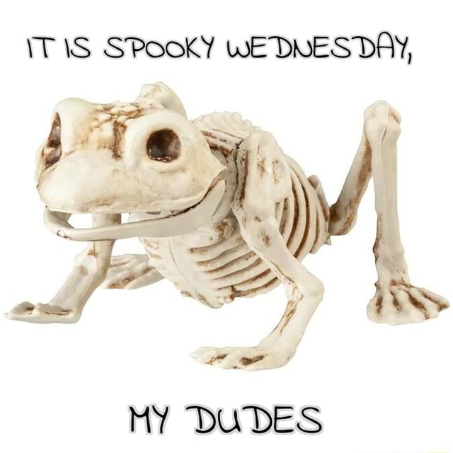 ITAS SPOOKY WEDNESDAY, MY DUDES - iFunny