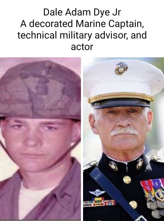 Dale Adam Dye Jr A decorated Marine Captain, technical military advisor ...
