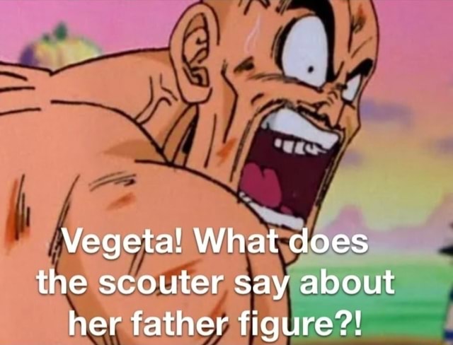 Vegeta! What does the scouter say about her father figure?! - iFunny