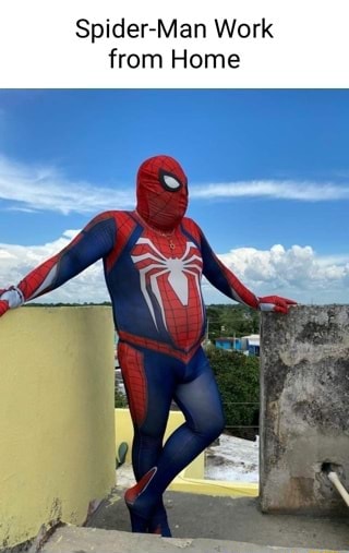 Spider Man Work From Home Ifunny