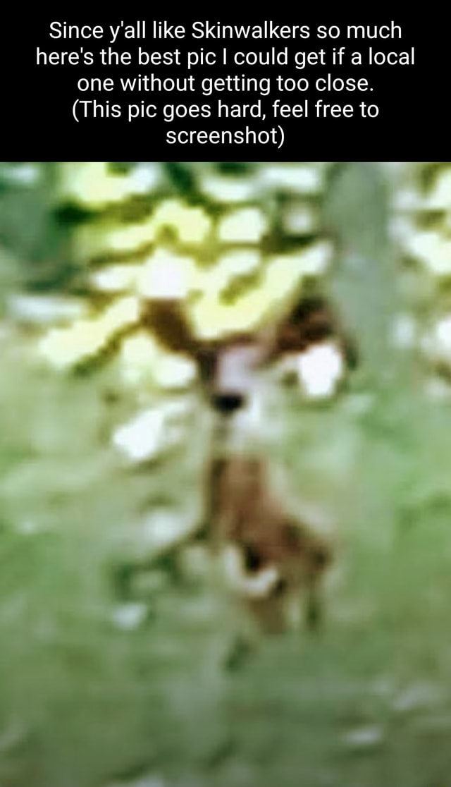 Since y'all like Skinwalkers so much here's the best pic I could get if ...