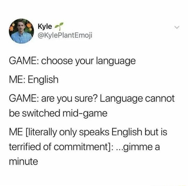 Kyle GAME: choose your language ME: English GAME: are you sure ...