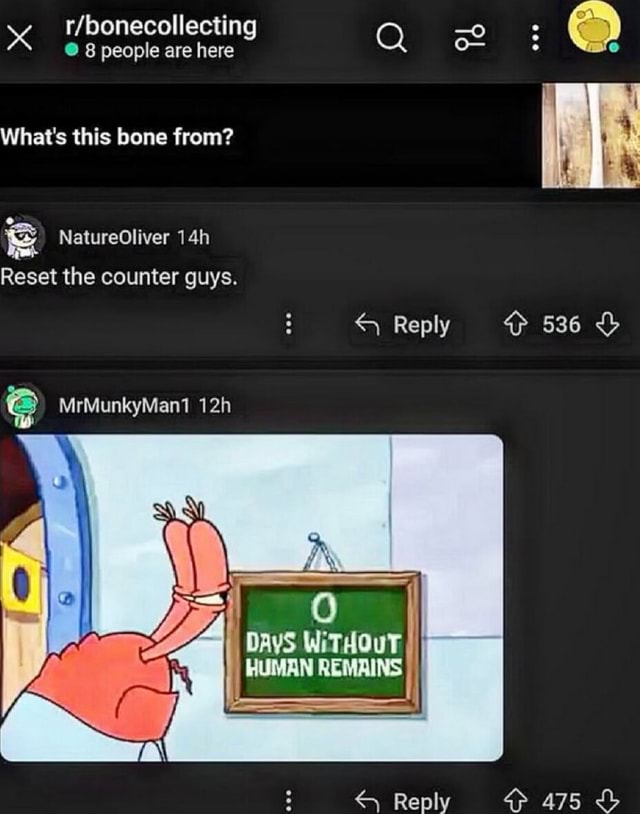 8 people are here Q What's this bone from? NatureOliver Reset the counter guys. Reply 536 ...