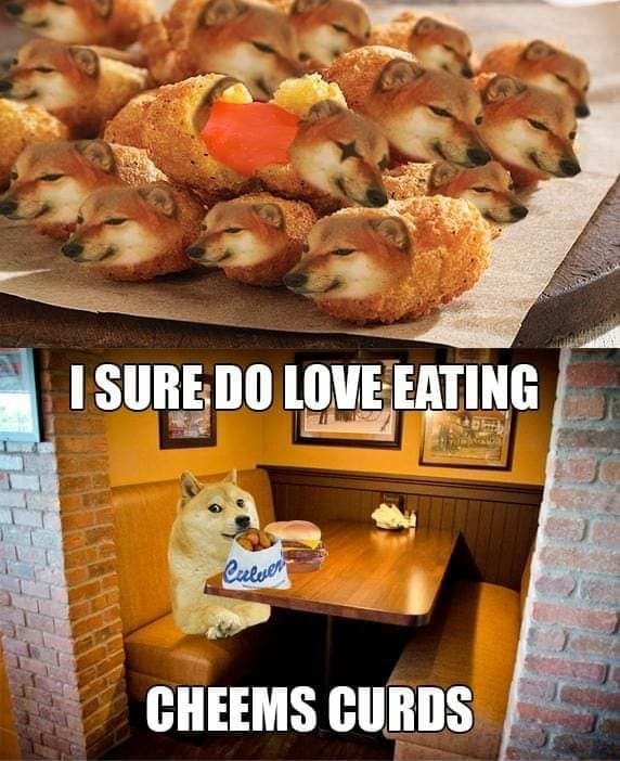 'SUREDOLOVE EATING CHEEMS CURDS - iFunny