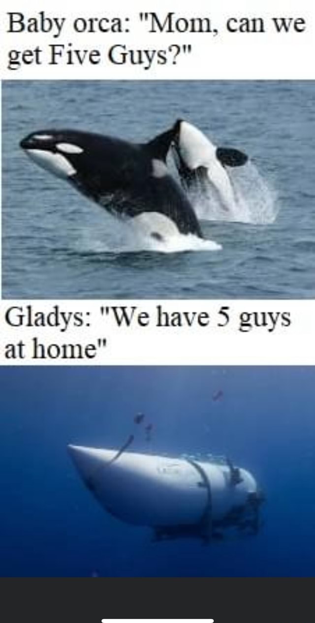 Baby orca: "Mom, can we get Five Guys?" Gladys: "We have 5 guys at home ...