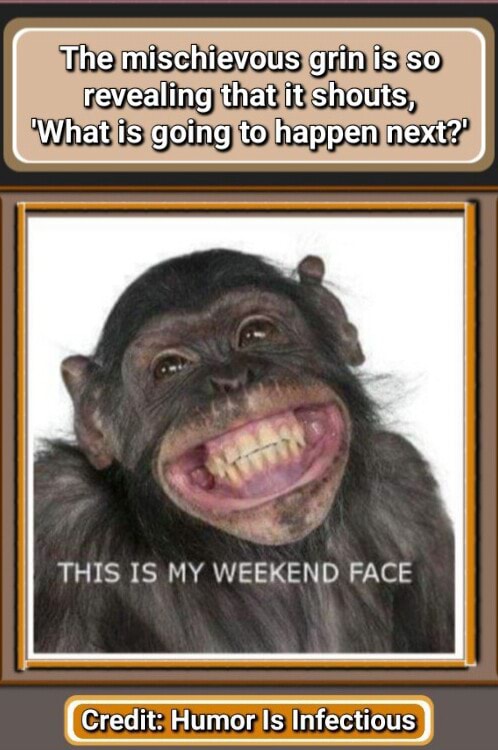 The mischievous grin is so revealing that it shouts, 'What is going to ...