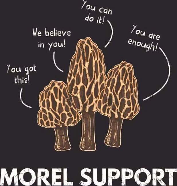 Ve believe you! this! are MOREL SUPPORT - iFunny