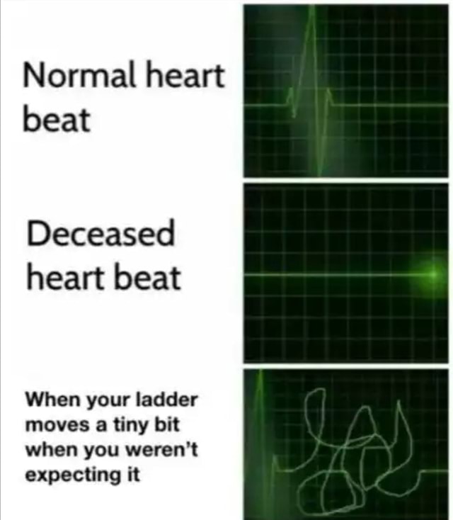 Normal heart beat Deceased heart beat When your ladder moves a tiny bit ...