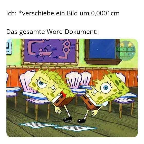 Ich: *verschiebe ein Bild um 0,0001cm Das gesamte Word Dokument: - Keke