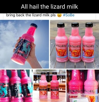 All hail the lizard milk bring back the lizard milk pls #SoBe rene - iFunny